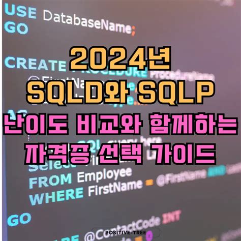 2024년 sqld와 sqlp 난이도 비교와 함께 하는 자격증 선택 가이드