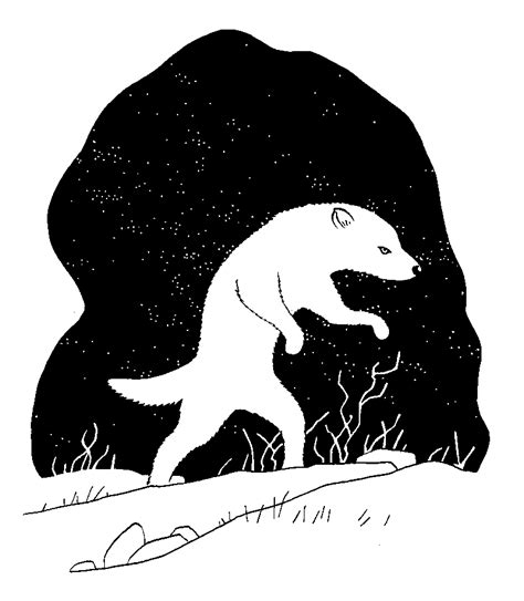 Fracturing To Survive Tanya Tagaqs Split Tooth Popmatters