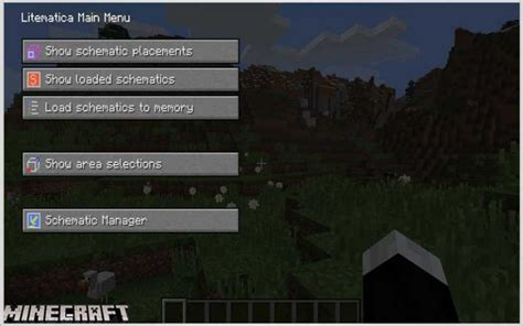 Litematica 1 16 5 Minecraft PC