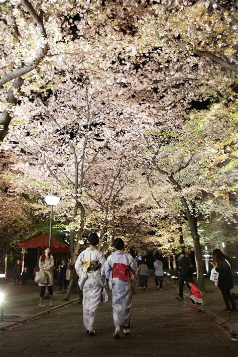 짠내투어 교토여행ㅣ정준영의 교토투어 그리고 교토 벚꽃여행 네이버 블로그