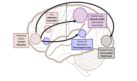 Misconceptions Trend Institute