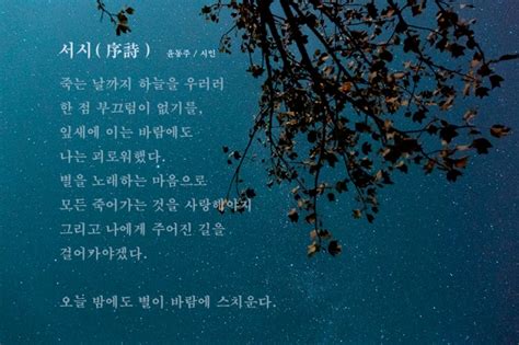 내 인생의 시 윤동주의 서시 序詩 네이버 블로그