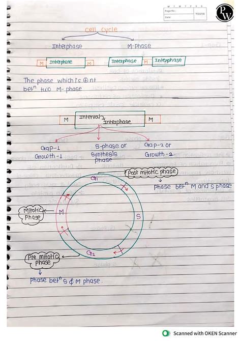 Solution Cell Cycle And Cell Division Handwritten Notes Studypool