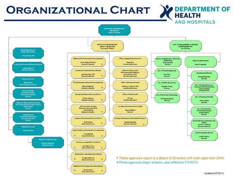 Hospital Organizational Chart Template
