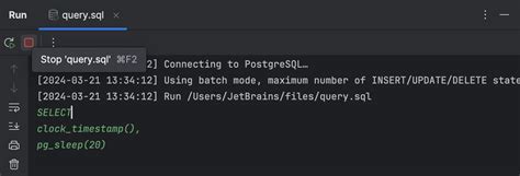 run files datagrip documentation