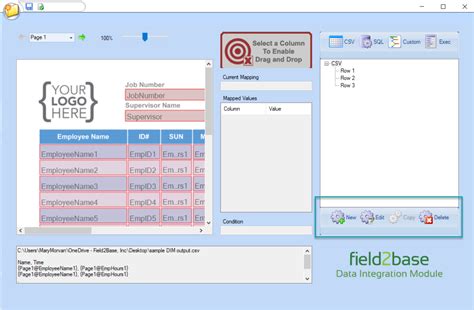 Data Integration Module Dim User Guide