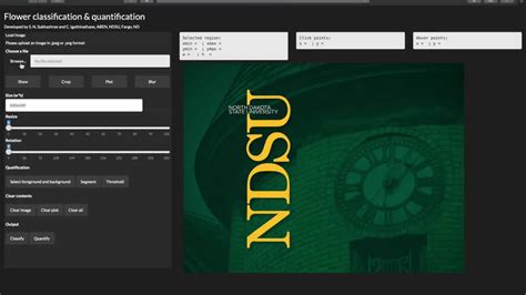 Subha Srinivasagan Phd On Linkedin Webapplication Imageprocessing