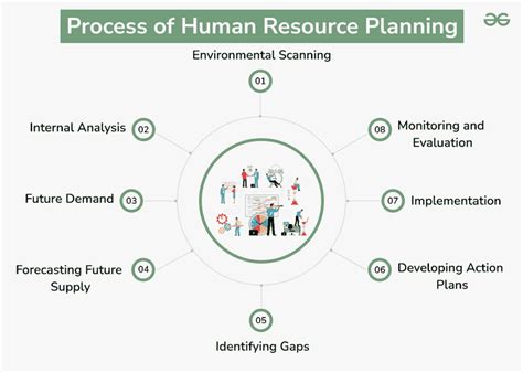 Human Resource Planning Hrp Meaning Process And Examples
