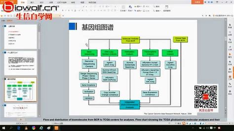 Tcga基础课程差异分析生存分析 腾讯视频