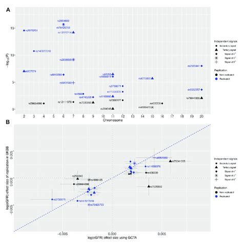 A Replication Of Egfr Associated Multiple Independent Signals Download Scientific Diagram