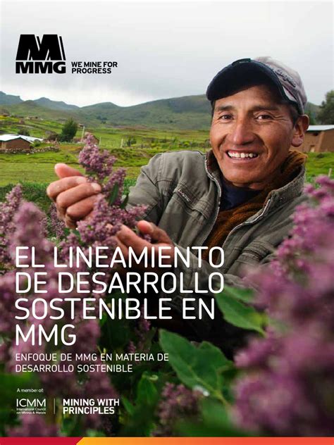 Mmg Sustainable Development Framework Spanish Lr Descargar Gratis Pdf Cobre Minería