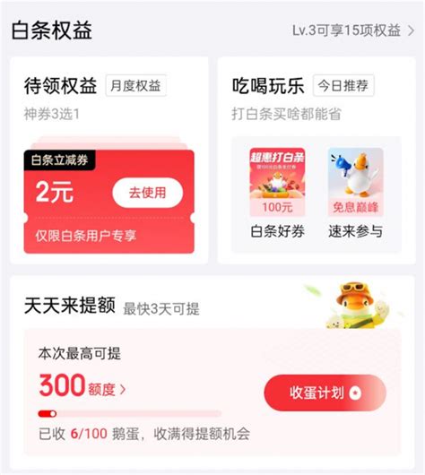 支付京东金融 白条权益 领白条支付券 什么值得买