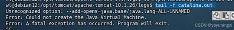 Tomcat 10126启动报错：unrecognized Option Add Opensjavabasejavalang