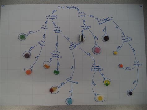Science Classification Using Sweets Holland Haven Primary School