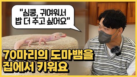 파충류 도마뱀 키우기 먹이 줄 때 너무 귀여워요레오파드게코 Youtube