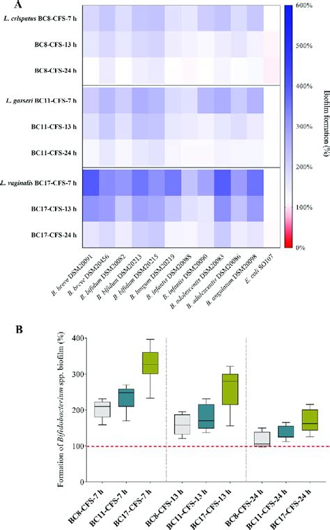 Effects Of Cfss On Bifidobacterium Species Biofilms A Formation Of