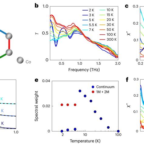 The Broad Magnetic Continuum Investigated By Time Domain Terahertz Download Scientific Diagram