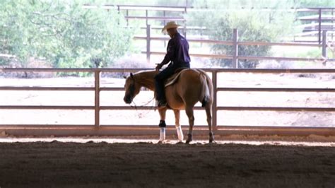 How To Prepare For Nrha Pattern 9 Matt Mills