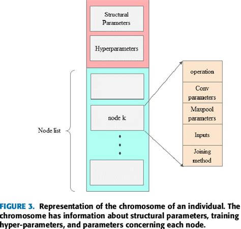 Figure 3 From Two Level Genetic Algorithm For Evolving Convolutional
