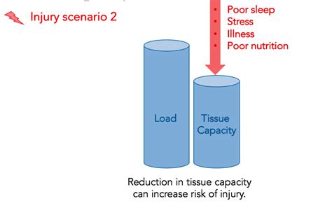 Load And Capacity How To Hack Your Tissues For Gains Trident Movement