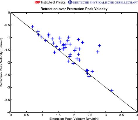 Retraction Peak Velocity Over Extension Peak Velocity Each Data Point