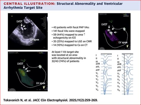 JACC Clinical Electrophysiology Vol 11 No 2