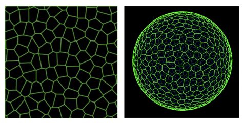 Schematic Image Of 2d Vertex Models Simulation Snapshots Of A 2d Vertex