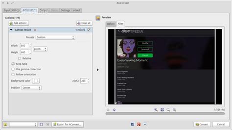 Batch Resize Convert And Watermark Images On Linux With XnConvert Gallery Softpedia