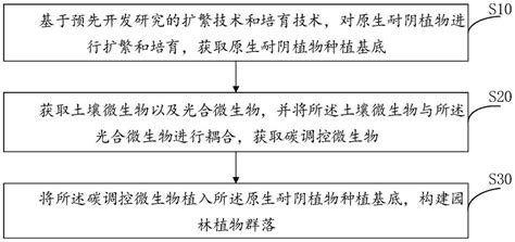 园林植物群落的构建方法及应用与流程