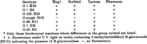 Serotypes And Biochemical Characteristics Of Verocytotoxin Producing E