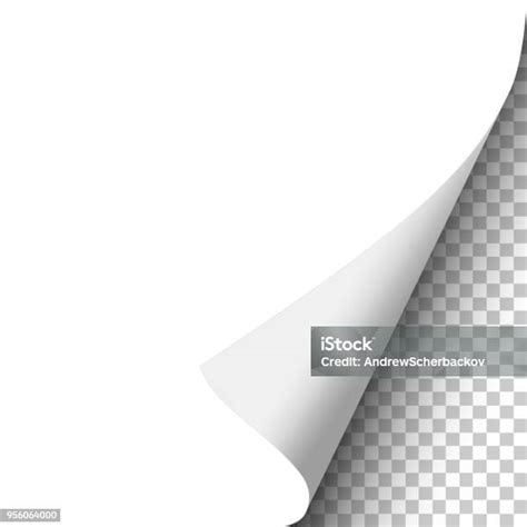 벡터 백서 부드러운 그림자 및 투명 한 배경 시트의 모서리를 드러 광고에 대 한 요소입니다 신문에 대한 스톡 벡터 아트 및 기타