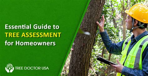Tree Health Assessment Services In San Diego ~ Tree Doctor Usa