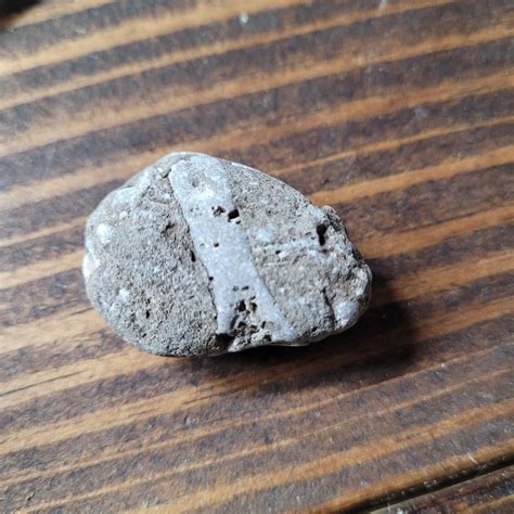 Any Ideas R Fossilid