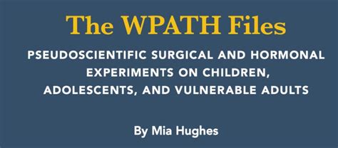 Understanding The Wpath Files Debate Trans Writes