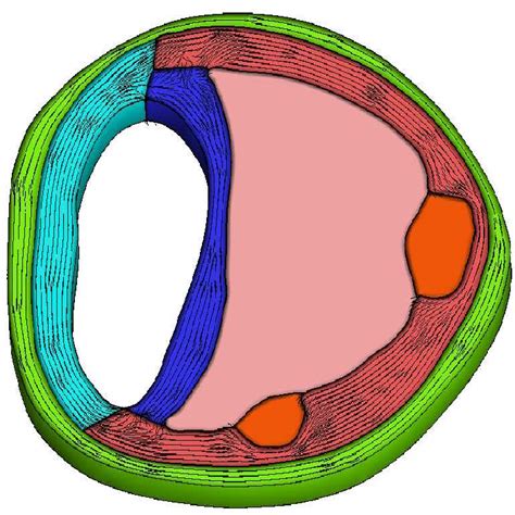 2 Poisson Interpolation Results Of Fibre Orientation Angle With