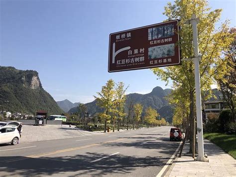 2023娄山关古镇度假村门票遵义娄山关古镇度假村游玩攻略娄山关古镇度假村游览攻略路线地址门票价格 【去哪儿攻略】