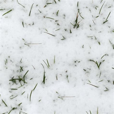 Snow With Grass Texture Seamless