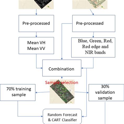 Crop Type Map Classification Obtained From Rf And Cart Classifier Download Scientific Diagram