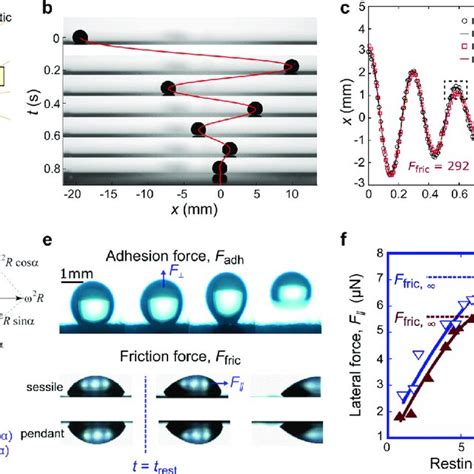 Dan Daniel Professor Assistant Phd In Applied Physics Harvard University 2017 King