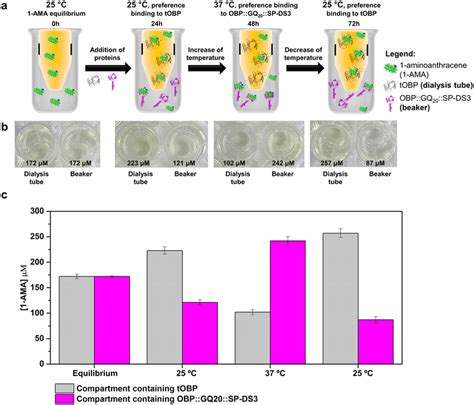 Fluorescence Binding Assay Of 1 Ama To Tobp And Obpgq 20 Sp Ds3