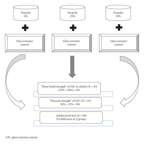 Experimental Design And The Results Of The Study Download Scientific Diagram
