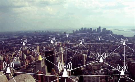 Wireless Solutions Dataone Technologies Abu Dhabi Uae Customized