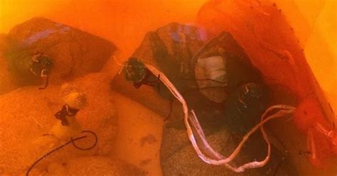 種籾の催芽 美味しいお米の育てかた＃018｜ヤマダケンゴ