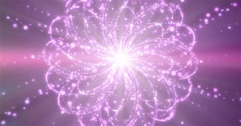 4k Purple Exploding Flowers Motion Background Motion Graphics Ft 3d