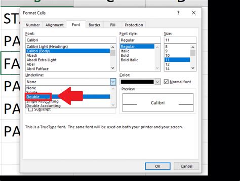 Double Accounting Underline Format In Excel At Gabriella Morison Blog