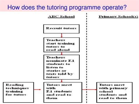 Ppt Cross Age Tutoring Programme Powerpoint Presentation Free Download Id 5648433