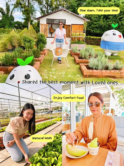 Corofield ฟาร์มออร์แกนิค Feel Good ที่สวนผึ้ง ราชบุรี 🍈🐝 แกลเลอรีที่โพสต์โดย 𝑎𝑚𝑦𝑛𝑎𝑝𝑎𝑠𝑜𝑟𝑛 Lemon8