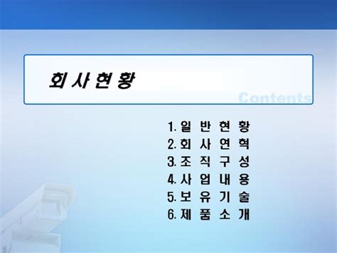 마케팅 전략수립 사업계획서보안카메라 하드웨어 소프트웨어 개발 비즈폼 샘플양식 다운로드