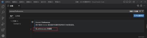 Vscode Clude下面为什么没有settingsjson的解决方法。vscode没有settingsjson Csdn博客
