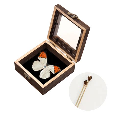 Insect Display Case Frame Butterfly Shadow Box With Top Eva Foam Pinning Board